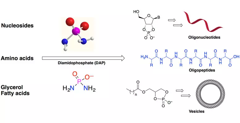 Ndị ọkà mmụta sayensị chọtara “njikọ na-efu efu” na Chemistry nke dugara ndụ n'ụwa