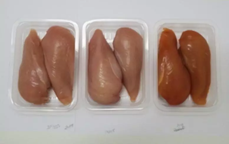 Tierfleisch analysiert