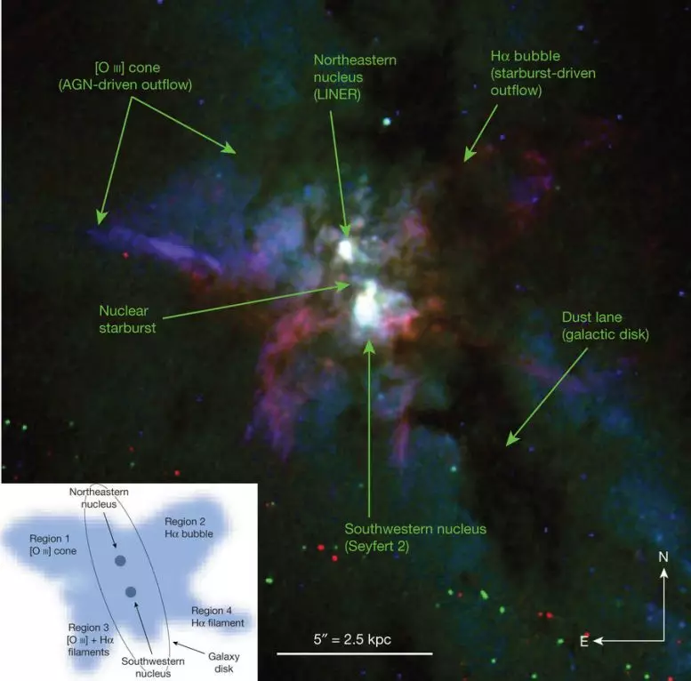 Black Hole uye Stellar Mhepo Dzinoumba Giant Butterfly