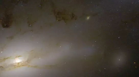 Galaxie NGC 4438