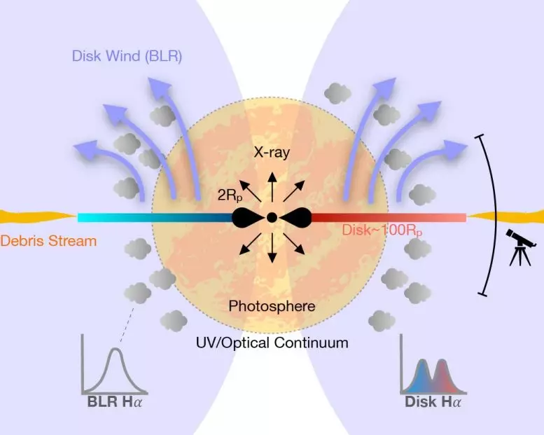 TDE sematikus diagram