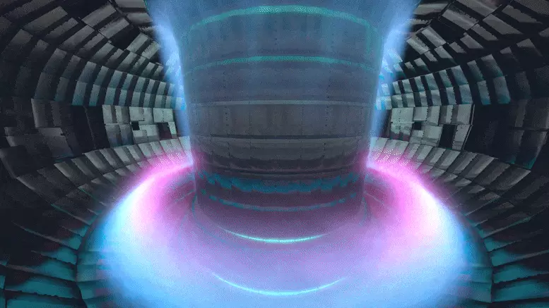 ITER Fusion Reactor