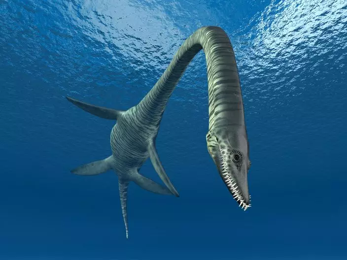 Pleziozaur Elasmosaurus