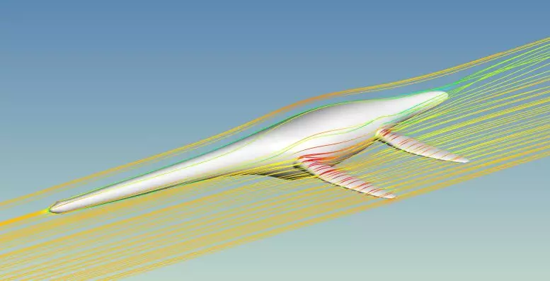 Rrjedha mbi Elasmosaur (Plesiosaur)