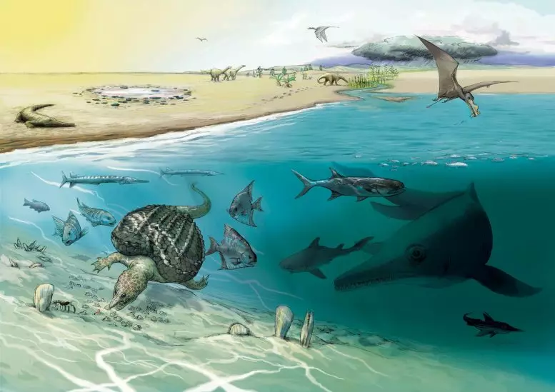 Whale Sized Ichthyosaur Water Shallow