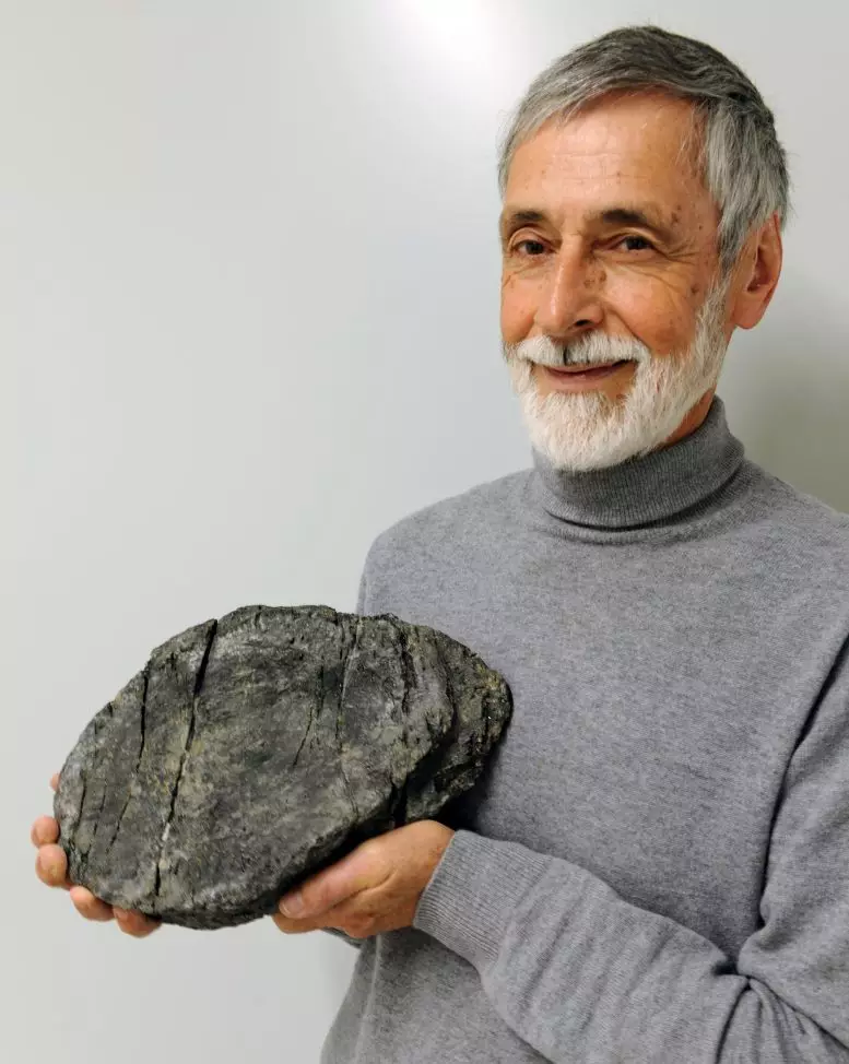 Heinz Furrer ជាមួយ Ichthyosaur Vertebrae ធំ