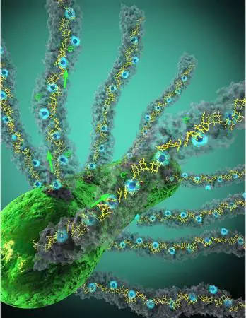 Nanowire mistery efa ela