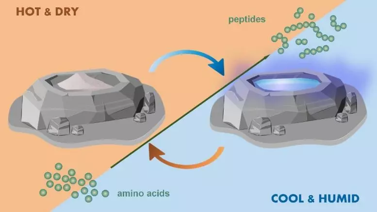 Biologyske polymers foarme oarsprong fan libben op ierde