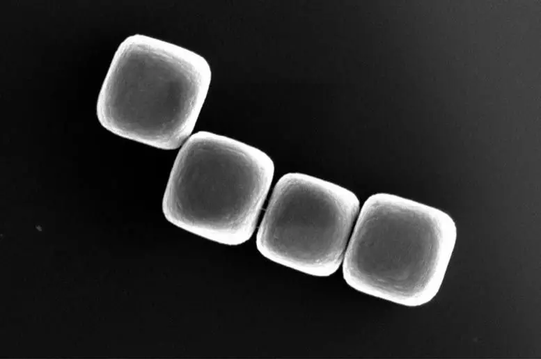 Upat ka Cubic Colloids Gibuhat Gikan sa Salamin