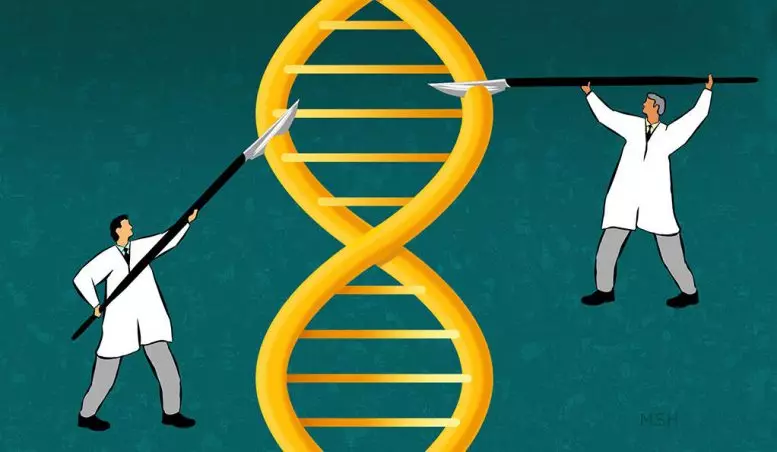 Studiuesit krijojnë një teknikë më të saktë për të modifikuar gjenomet e organizmave të gjallë