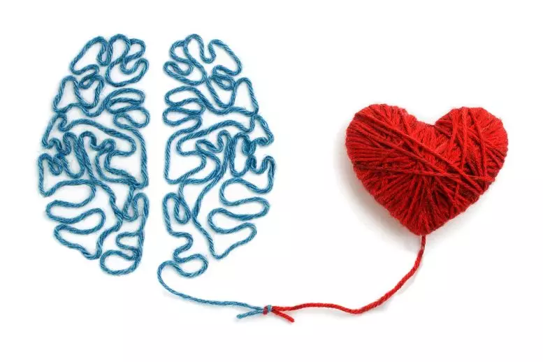 לב המוח מחובר