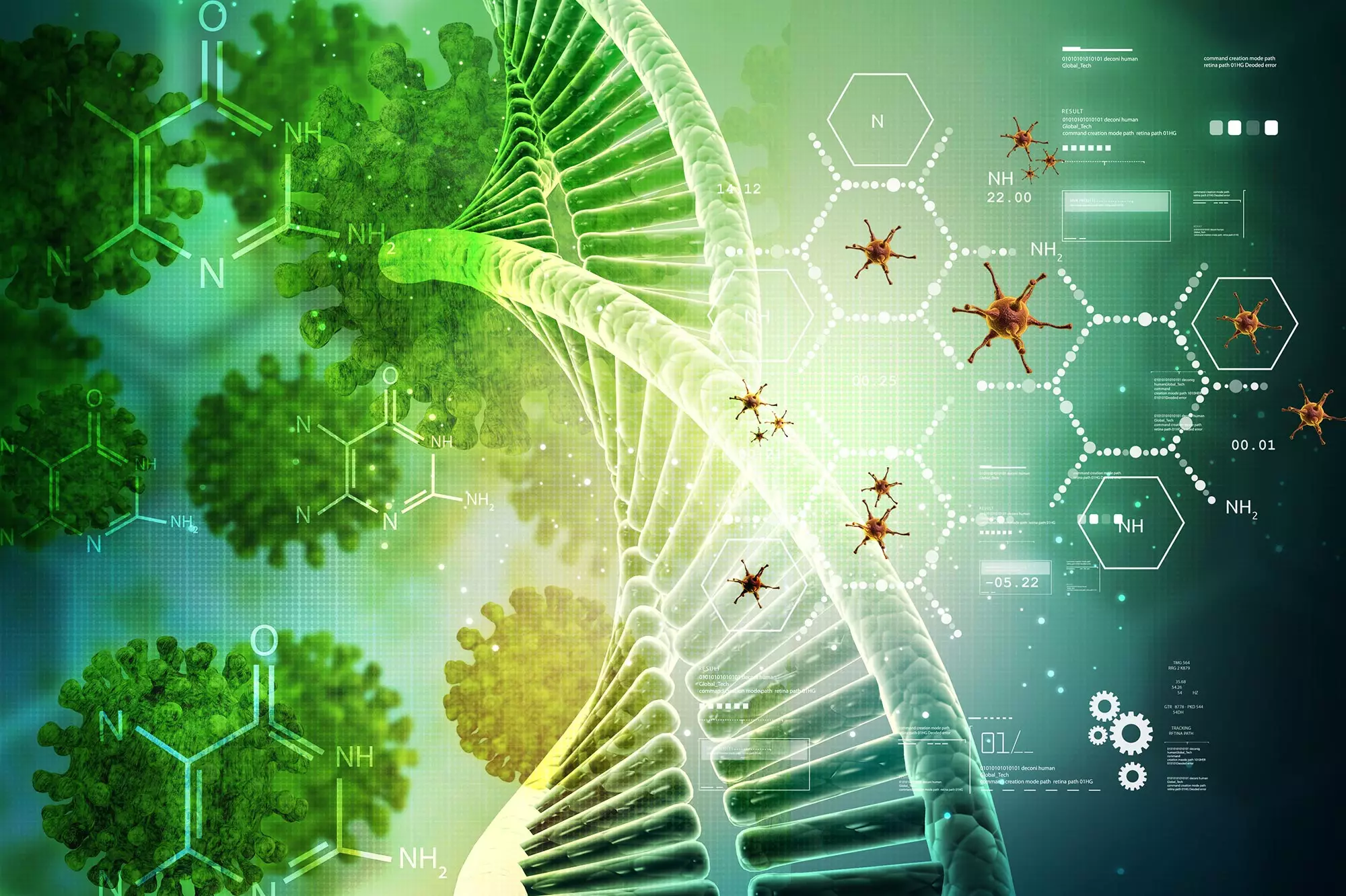 Chemiker designen nei Verbindungen déi Virussen blockéieren - Blockéiert Replikatioun vum Coronavirus