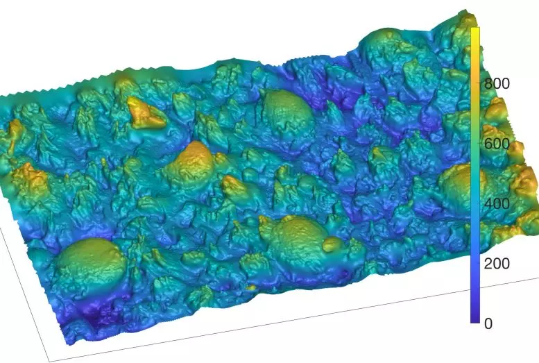 Biomimtic Tongue Surface