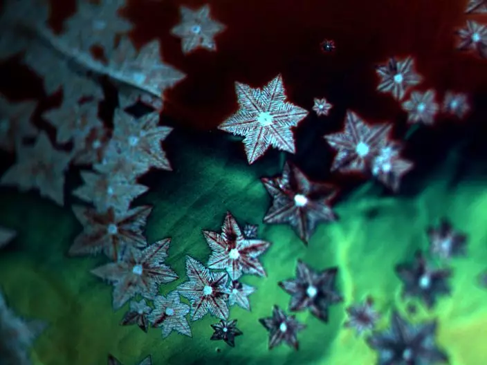 Snowflakes Inċiżi fil-Graphene