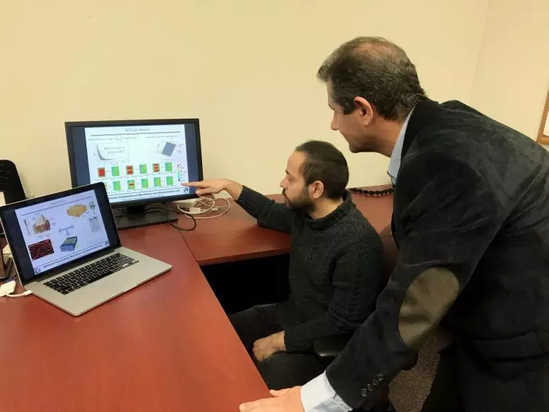 Topologie hibridă/Program de optimizare a formei