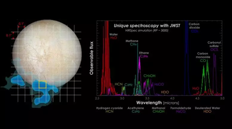 Europa Webb NURSpec Spectroscopy