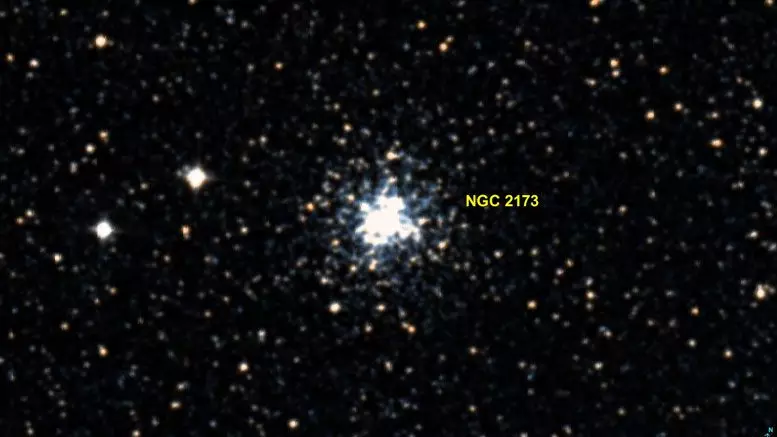 NGC 2173