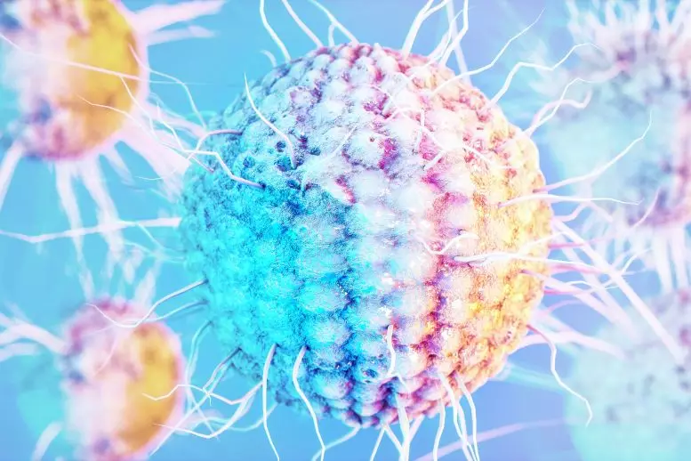 Herpes Virus 3D Rendering