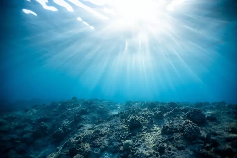 Dagat sa ilawom sa tubig