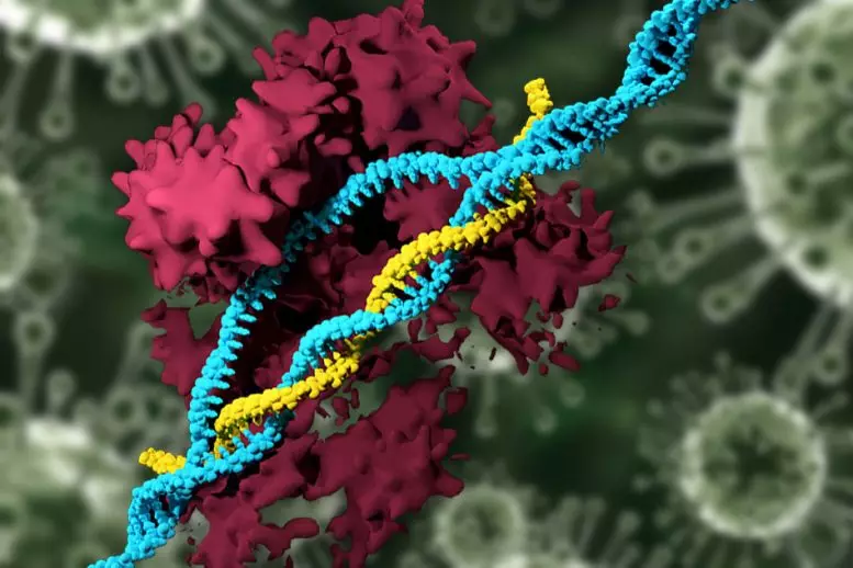 CRISPR-운반 나노입자는 게놈을 편집할 수 있습니다