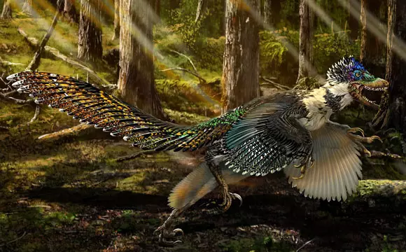 Zhenyuanlong Suni Winged Dinosaur Watsopano Wopezeka