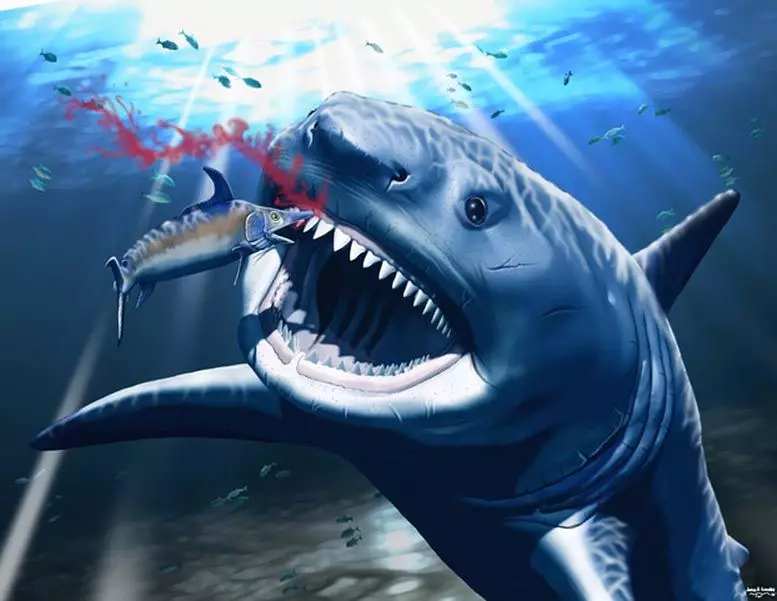 Alimentazione di Otodus Megalodon