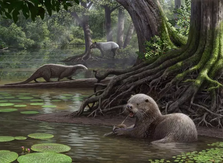 Farkasméretű vidra körülbelül 6 millió évvel ezelőtt élt