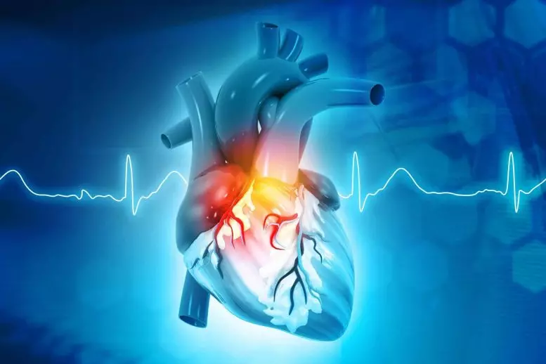 Koncept choroby srdcovej frekvencie