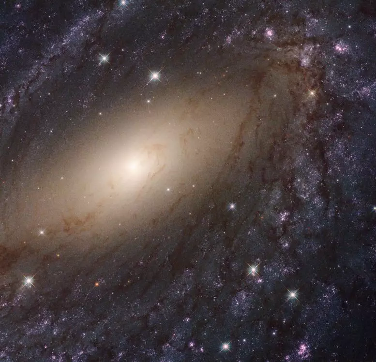 Hubble Views Local Universe mu Ultraviolet