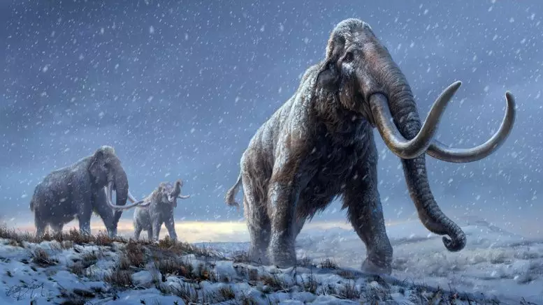 Steppe Mammoth kuvitus