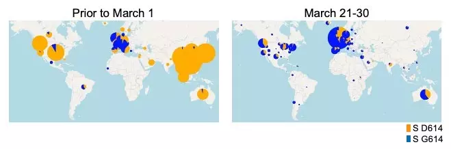 Mapa de infección por COVID-19