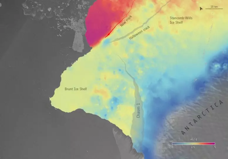 Brunt kaj Stancomb Wills Ice Shelf Ice Velocity Map