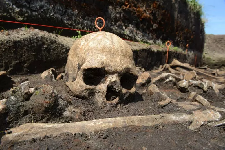 I-Bronze Age Skull Tollense Valley