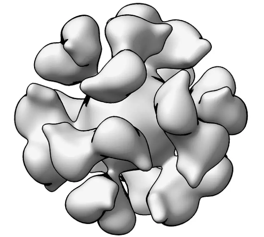 Inilunsad ng National Institutes of Health ang Clinical Trial ng Epstein-Barr Virus Vaccine