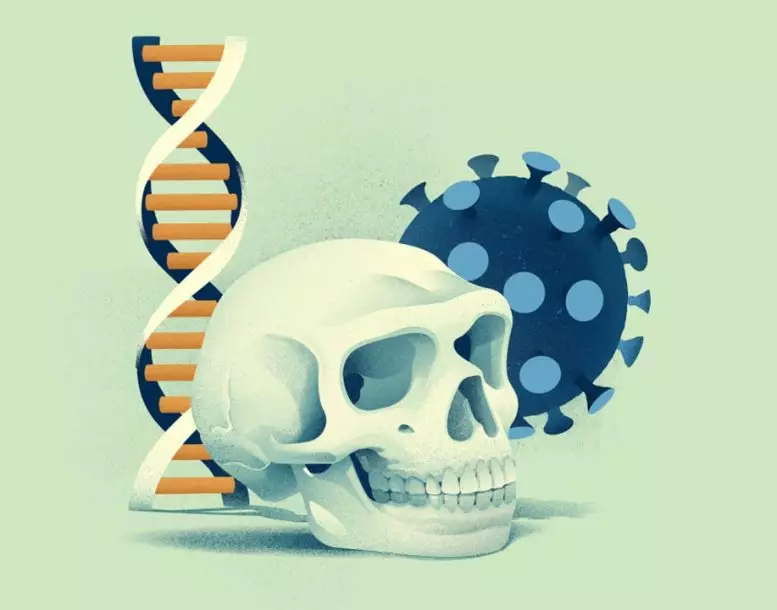 Neandertaler genetisk variant COVID-19