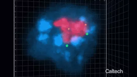 DNAの3Dマップの作成