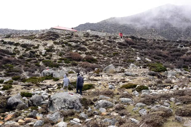 Zarostlá vegetace poblíž nepálské vesnice Dingboche