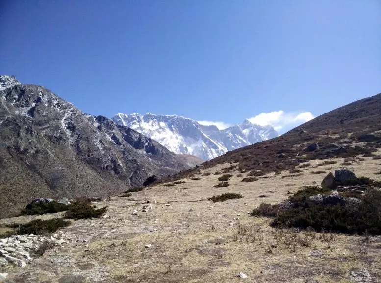 Mimea ya Subnival katika Mkoa wa Himalayan