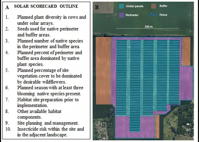 Pontuação e diagrama de habitat do polinizador de fazenda solar