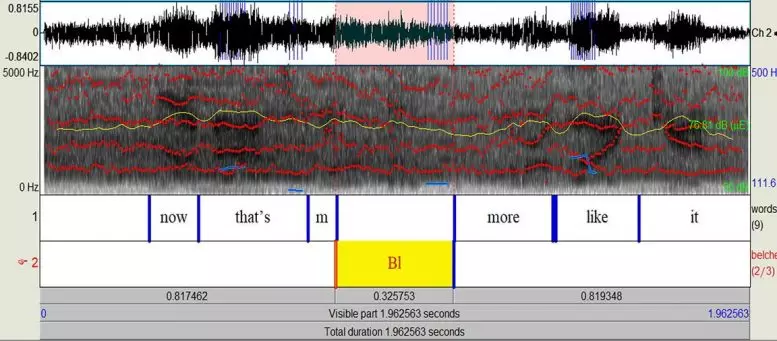 Espectrograma de forma d'ona Paraula eructada