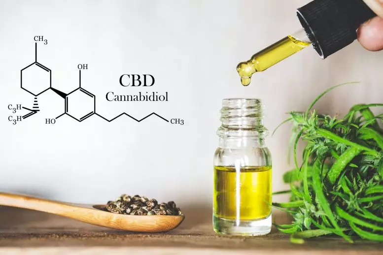 CBD Cannabidiol