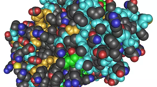 Nanoscale ባዮሎጂካል ሽፋን ወዲያውኑ ደም መፍሰስ ያቆማል