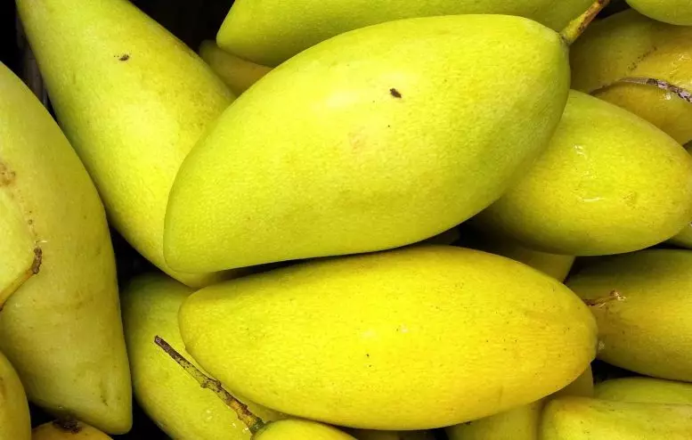 Sinau Nemokake Mangan Mango Ngurangi Keriput Rai Wanita 13833_2