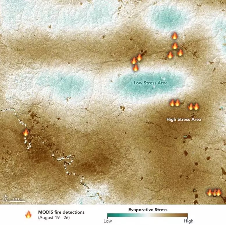 NASA ECOSTRESS Perivyen an Amazon Rainforest