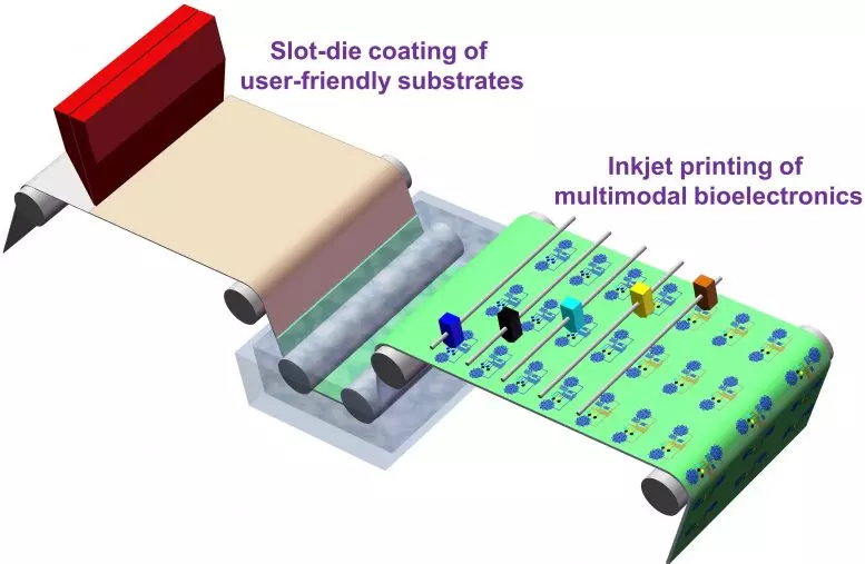 Nositelná multimodální bioelektronika