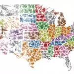 Ang Dimensyon ng Fractal ng US ZIP Code System: 1.78! 1386_2