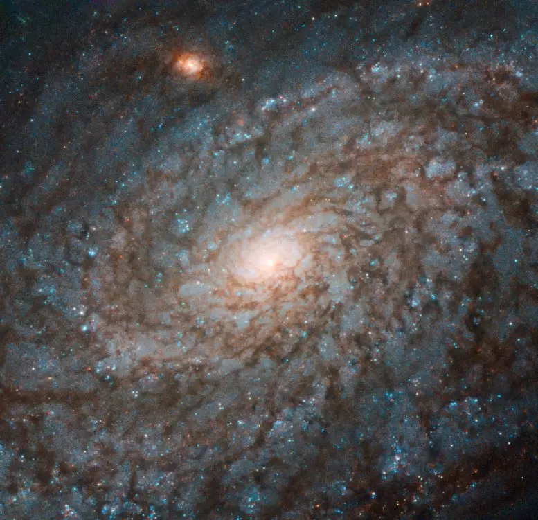 Bawełna Galaxy NGC 4237