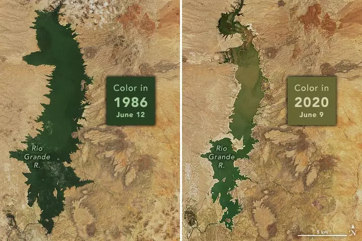 Mmala oa Rio Grande 1986 2020