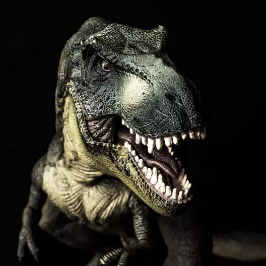 ტირანოზავრი T-Rex დინოზავრი