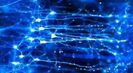 Optogenetics yana ba da damar Haske don Sarrafa Kwakwalwa